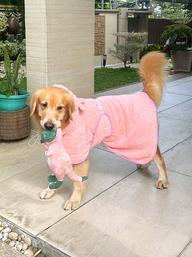 Dropful Pet Bath Towel & Robe in Pink | Bobba's Backyard