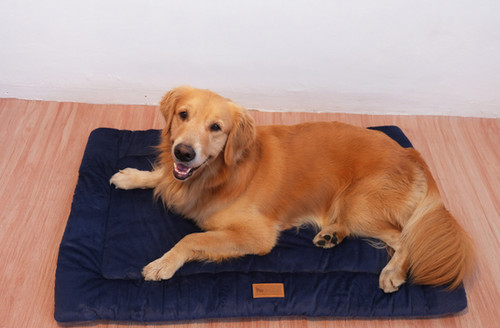 PLAY x Porta Chill Pad | Navy | Bobba's Backyard