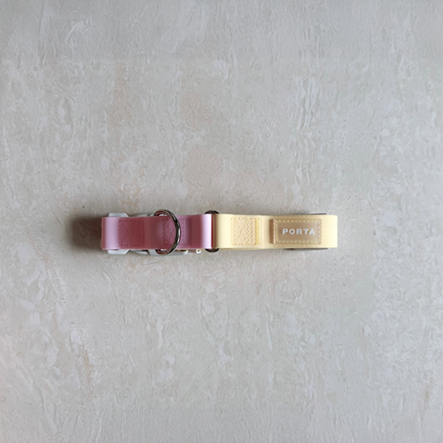 Porta Glow Collar + Leash Set in Vanilla Shortcake | Bobba's Backyard