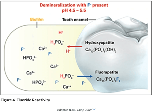 How To Successfully Remineralize Teeth - 1311 Jackson Ave Dental ...
