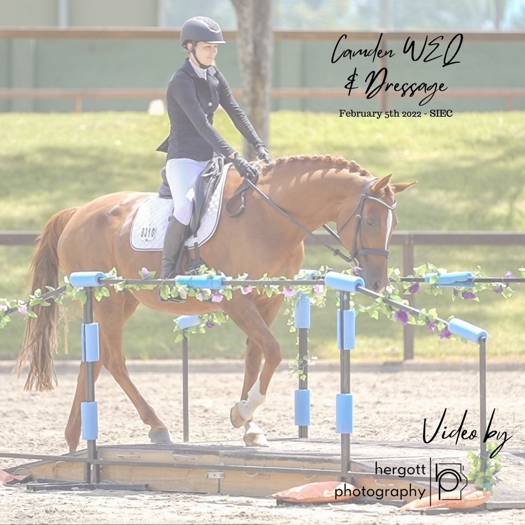 Camden Working Equitation & Dressage Comp | at Sydney International ...