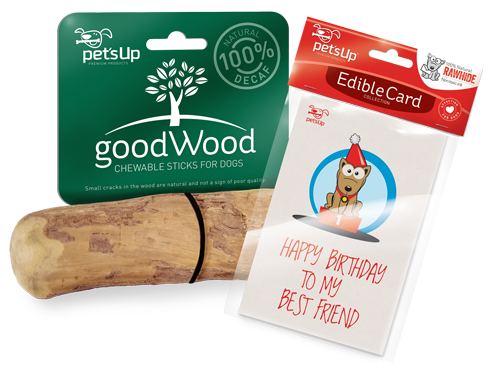 GoodWood Medium + #1 Dog Edible Card | Perfect Birthday Treat