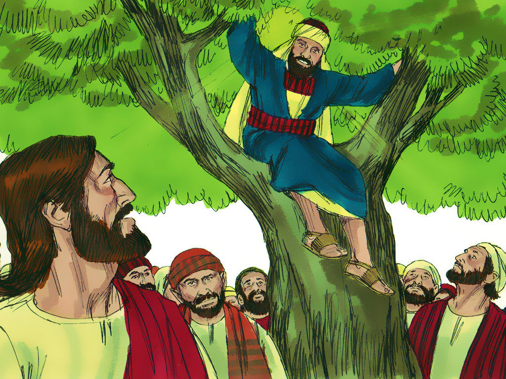 Zacchaeus the Tax Collector