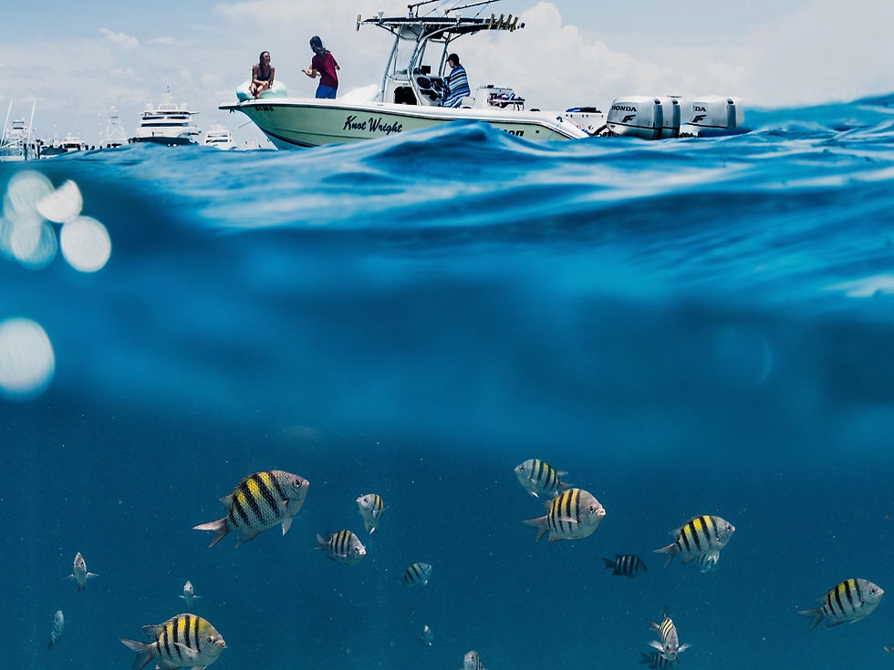 Fishing In The Maldives – A Tale As Old As Time