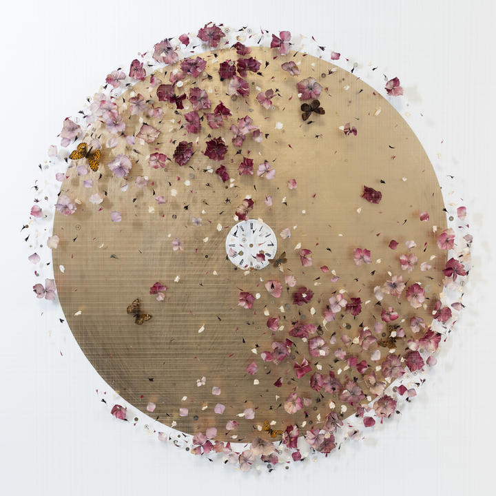 Radical Beauty | Anna Masters