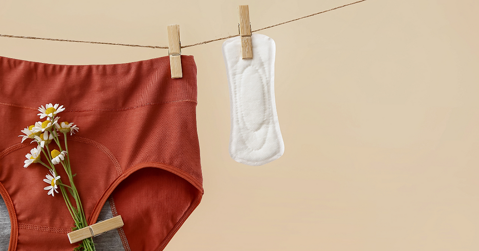 The Truth About Period Products