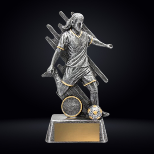 PRODUCT - 33081C | Teamwork Trophies