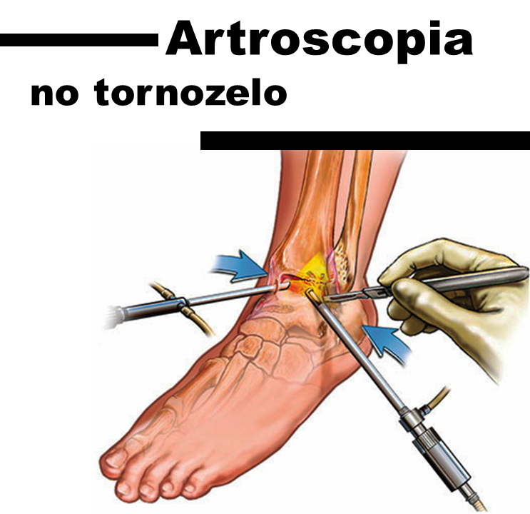 Home | Dr. Douglas Russo