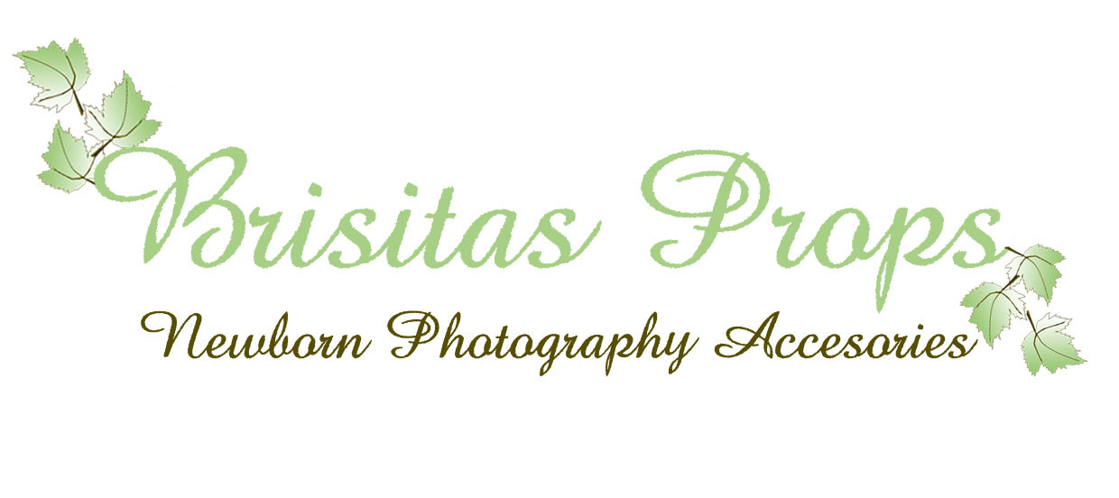 Brisitas Props Politicas de Seguridad