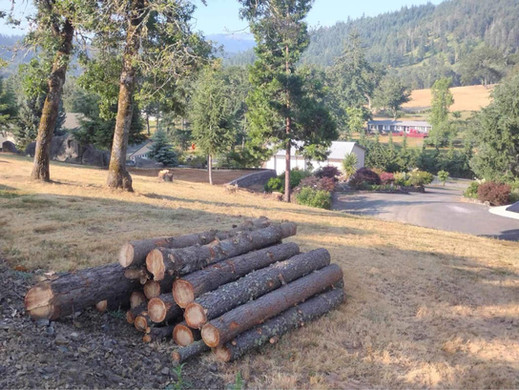 Kevin's Family Tree Service | Douglas County Oregon tree service