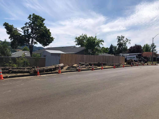 Kevin's Family Tree Service | Douglas County Oregon tree service