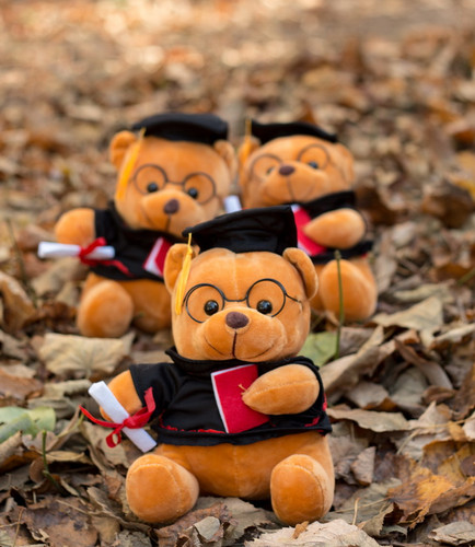 Mascota absolvent - maro | agd-com