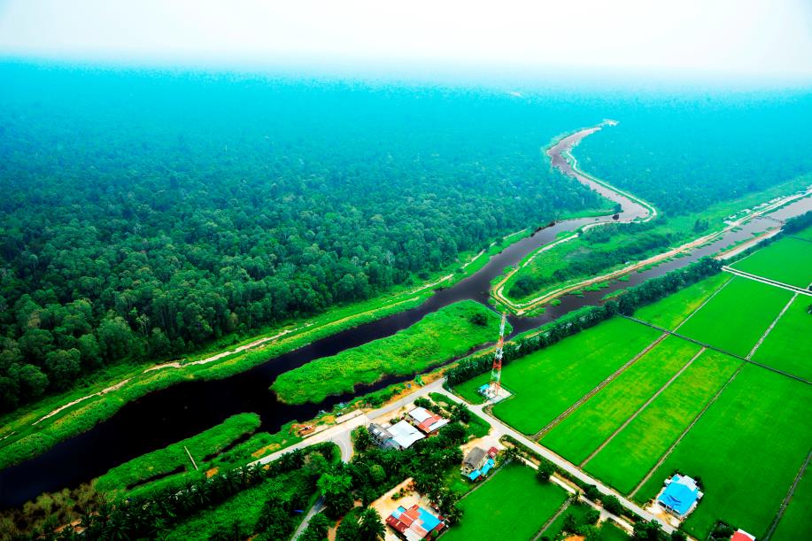 Raja Musa Forest Reserve, Malaysia