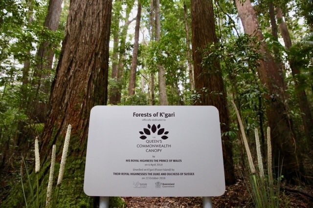 20 Million Trees Programme, Australia