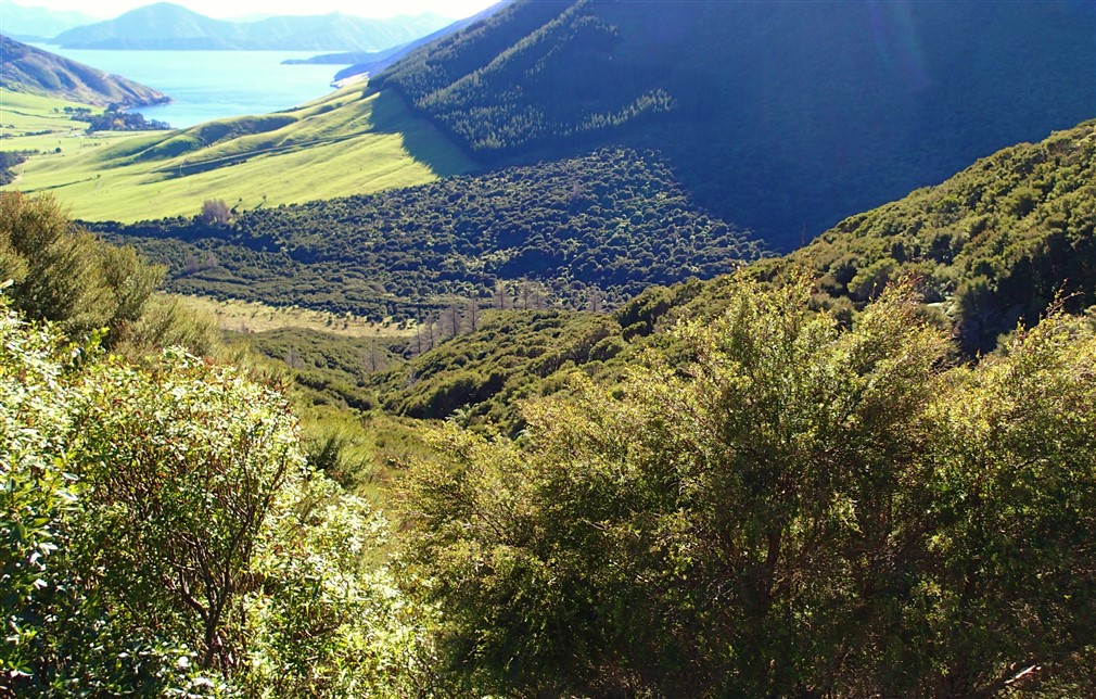 The Queen Elizabeth II National Trust, New Zealand