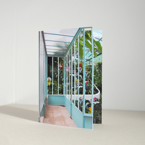 Tropical Enclosure | Greeting Card | Window.