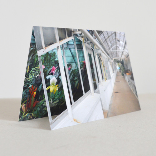 Greenhouse Corridor | Greeting Card | Window.