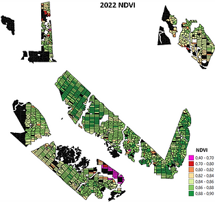 Satellite Images Analysis & NDVI | BI Solusi