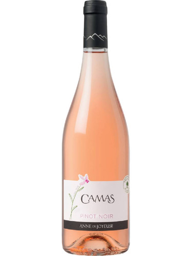CAMAS PINOT NOIR ROSE | Talli Drinks