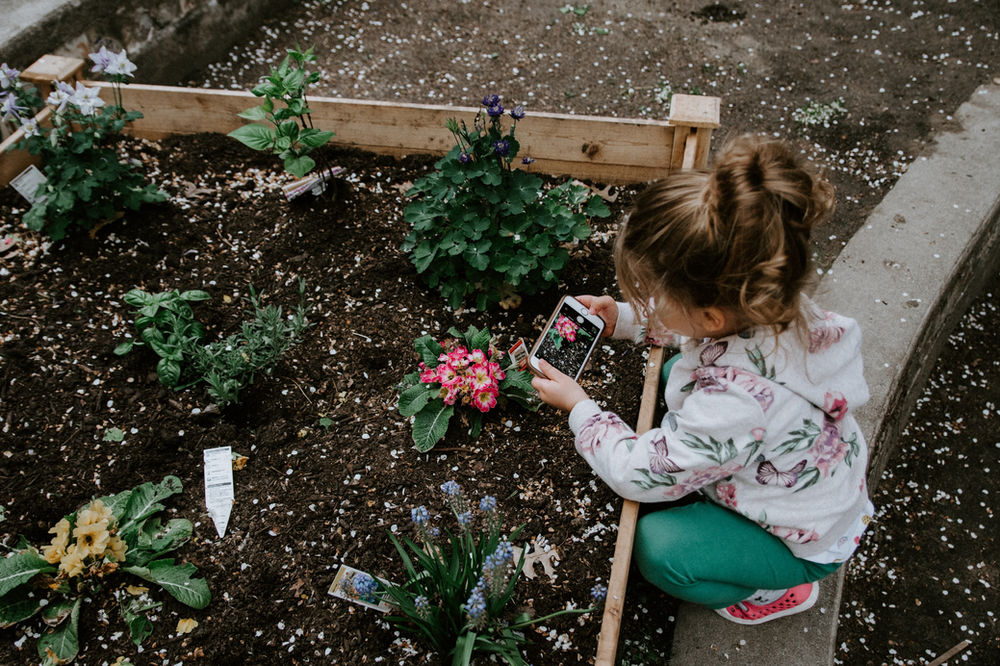 Stuck in the Mud - Gardening with Early Years Children with Special ...