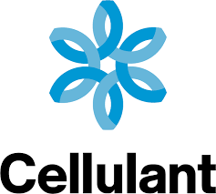 Associate: Customer Success job at Cellulant | AfriCareers