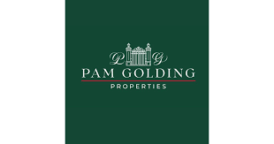 Digital Marketing Manager – Blouberg job at Pam Golding Properties ...