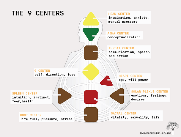 Bodygraph & Centers | myhumandesign.online