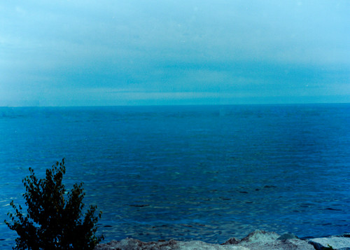 All Products | Ahmed Moneka