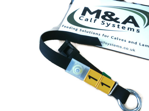 Forster Tecknik Calf Feeder Neck Collars with Button Transponder and ...