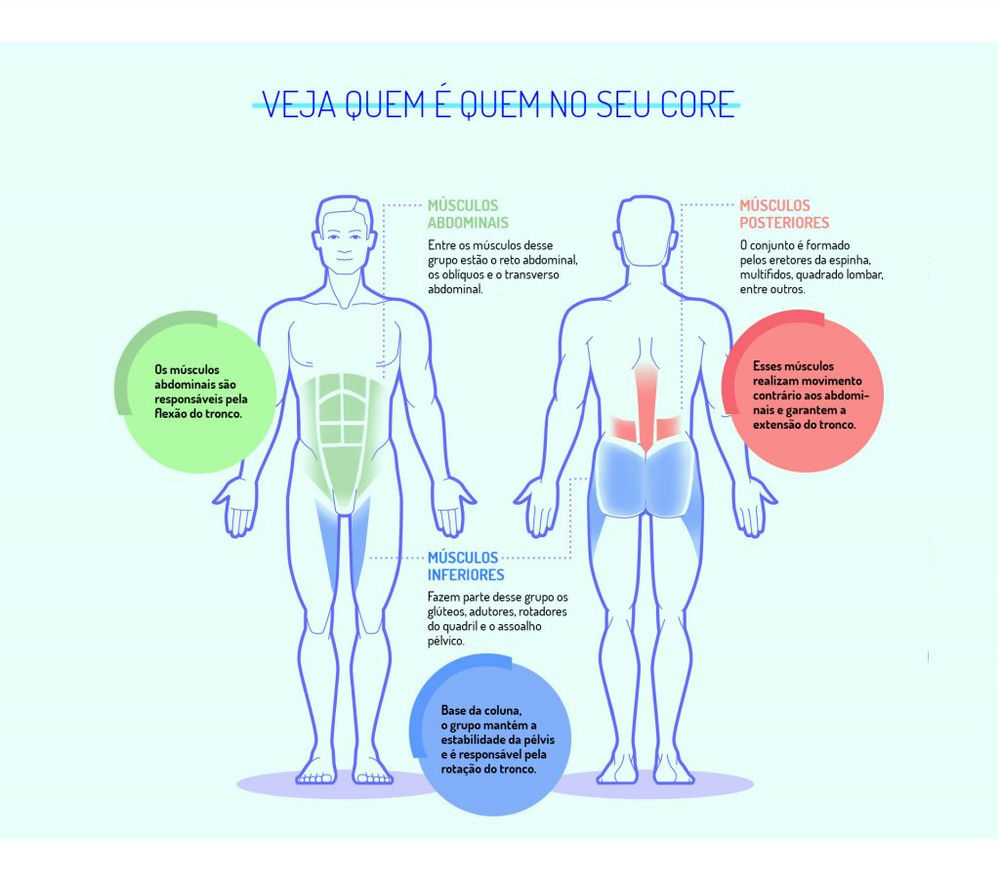 Músculos do core: qual a importância deles no movimento?