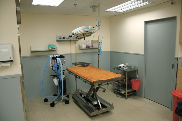 Services | Acorn Veterinary Hospital