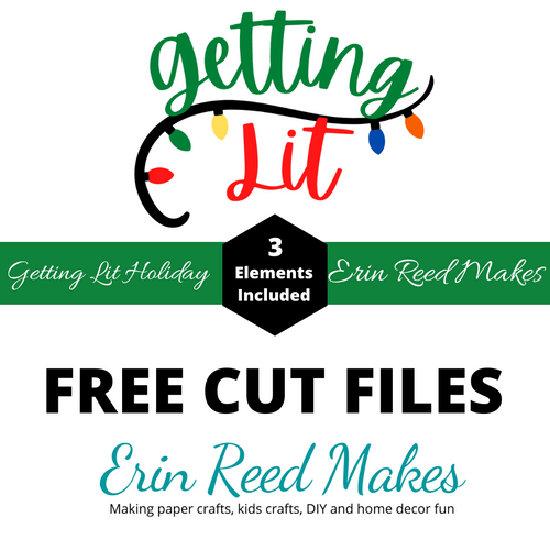 Getting Lit | Erin Reed Makes