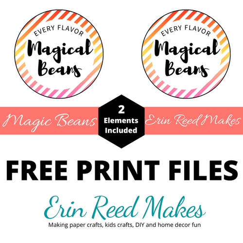Magical Beans | Erin Reed Makes