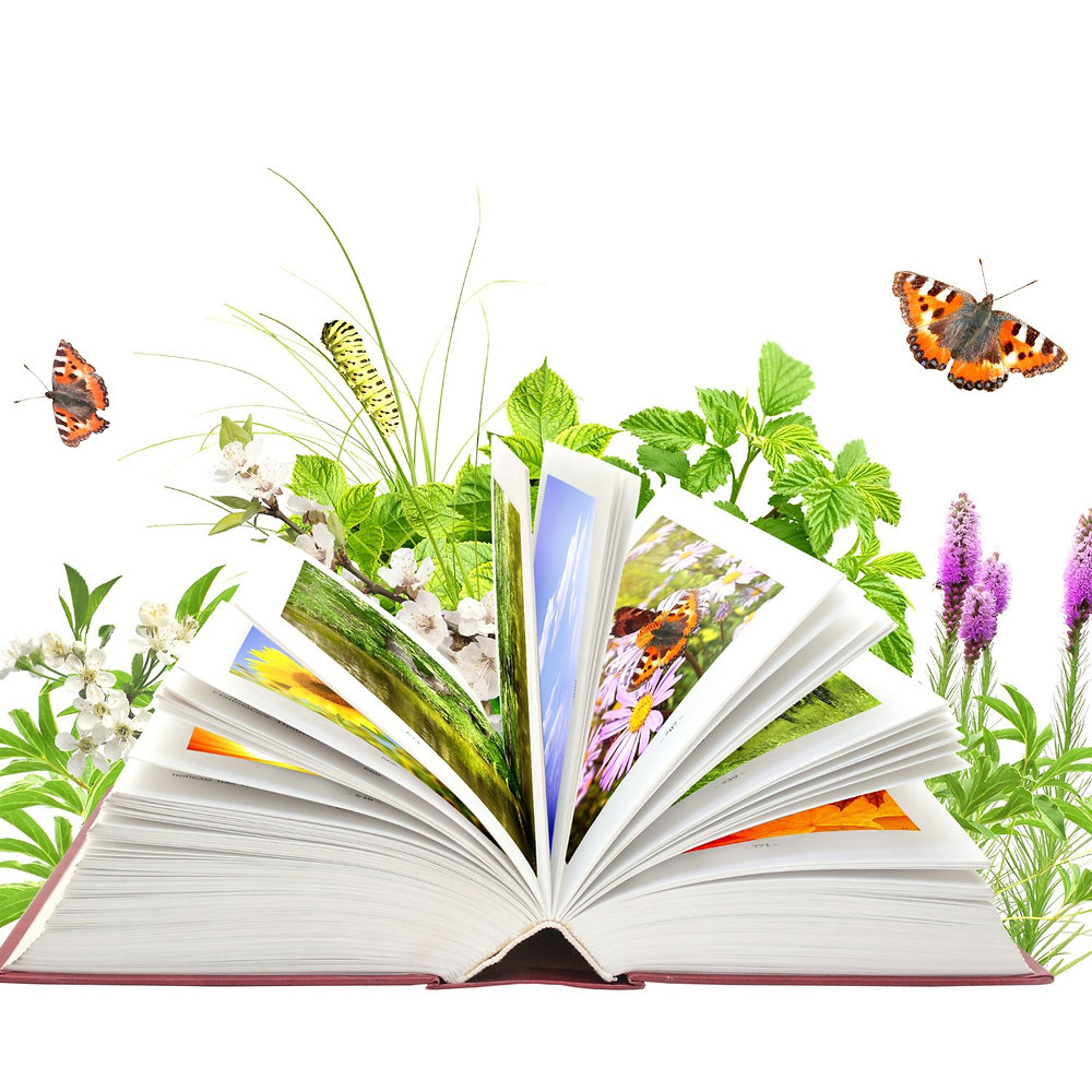 Sentient Books Winners