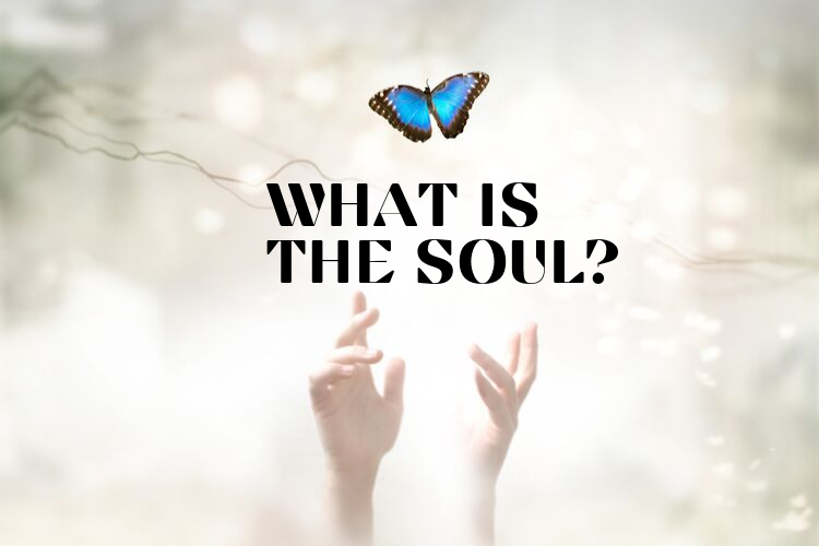WHAT IS THE SOUL?