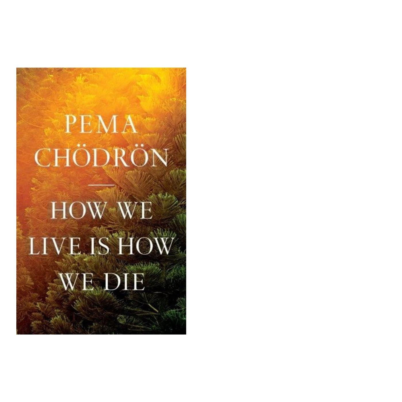 How We Live Is How We Die