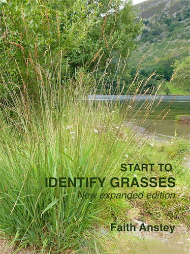 START TO IDENTIFY GRASSES | wildflowerstudy