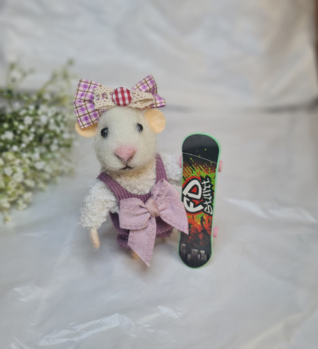 Skater mouse 🐁 | My Site 1