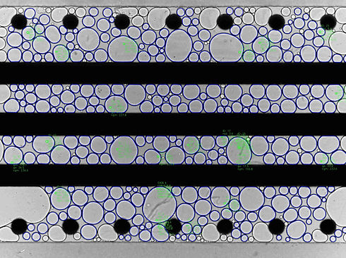 Biochemical Assay Platform using Computer Vision | Bioelectronica