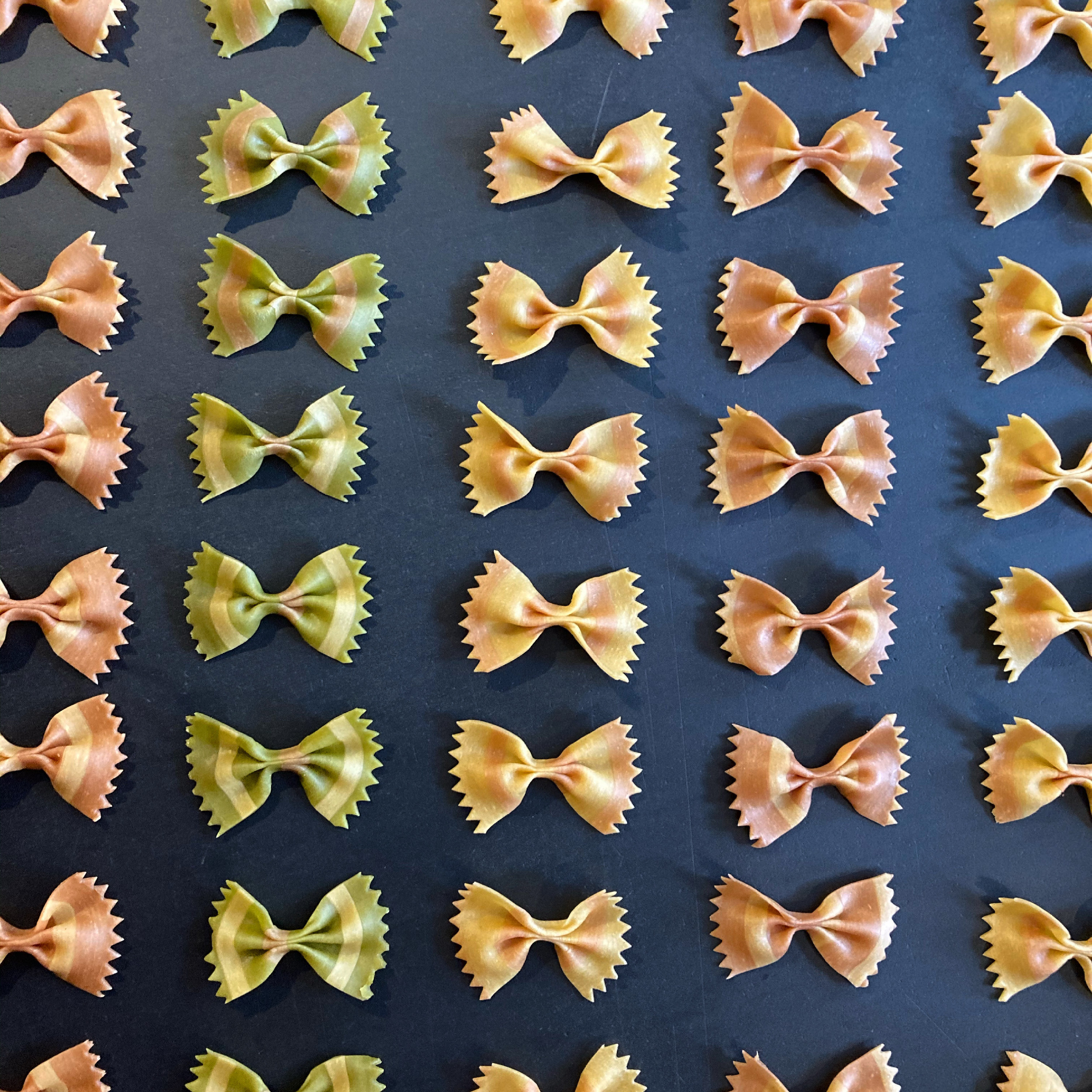 GALLERY | STAGE I EXETER