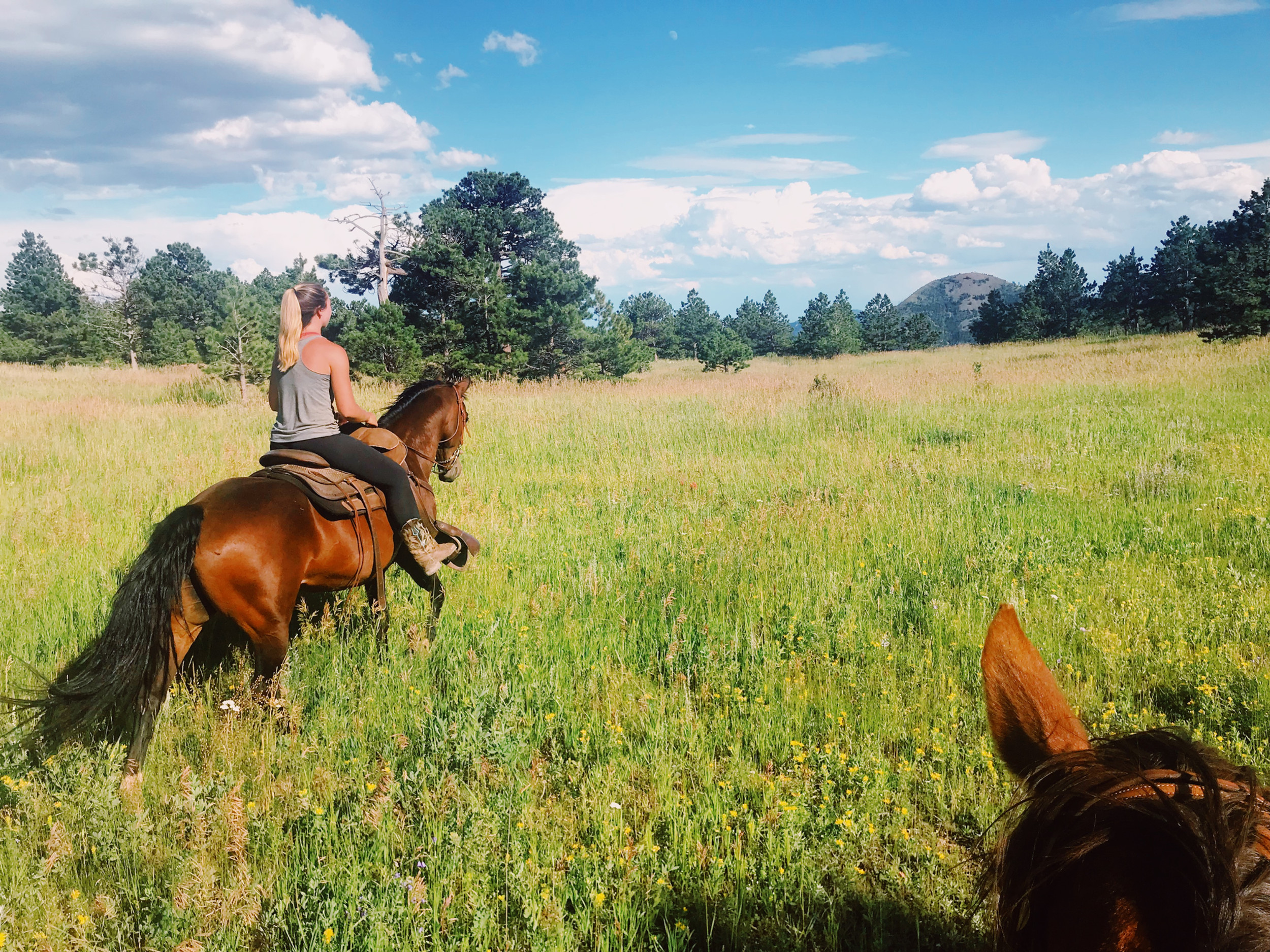 Join Our Team | Outdoor Summer Camp Jobs | Colorado Mountain Ranch