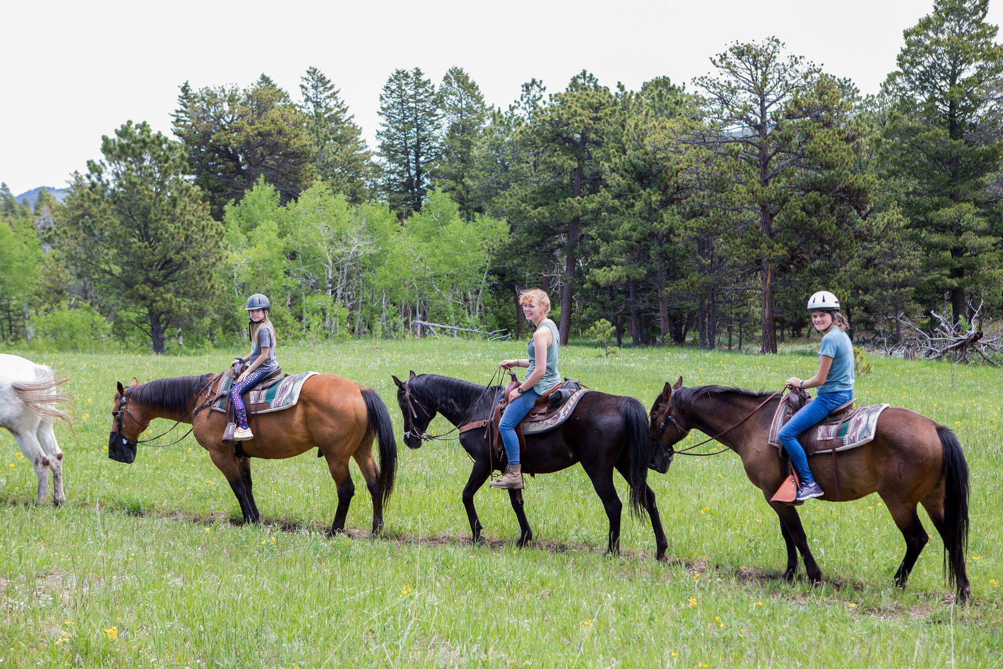 Summer Day Camps for Kids | Boulder, CO | Colorado Mountain Ranch