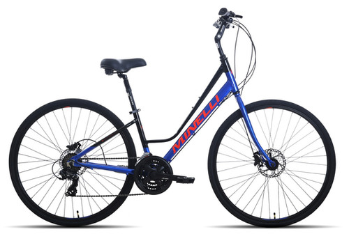 Silhouette Disc | Minelli Bicycles