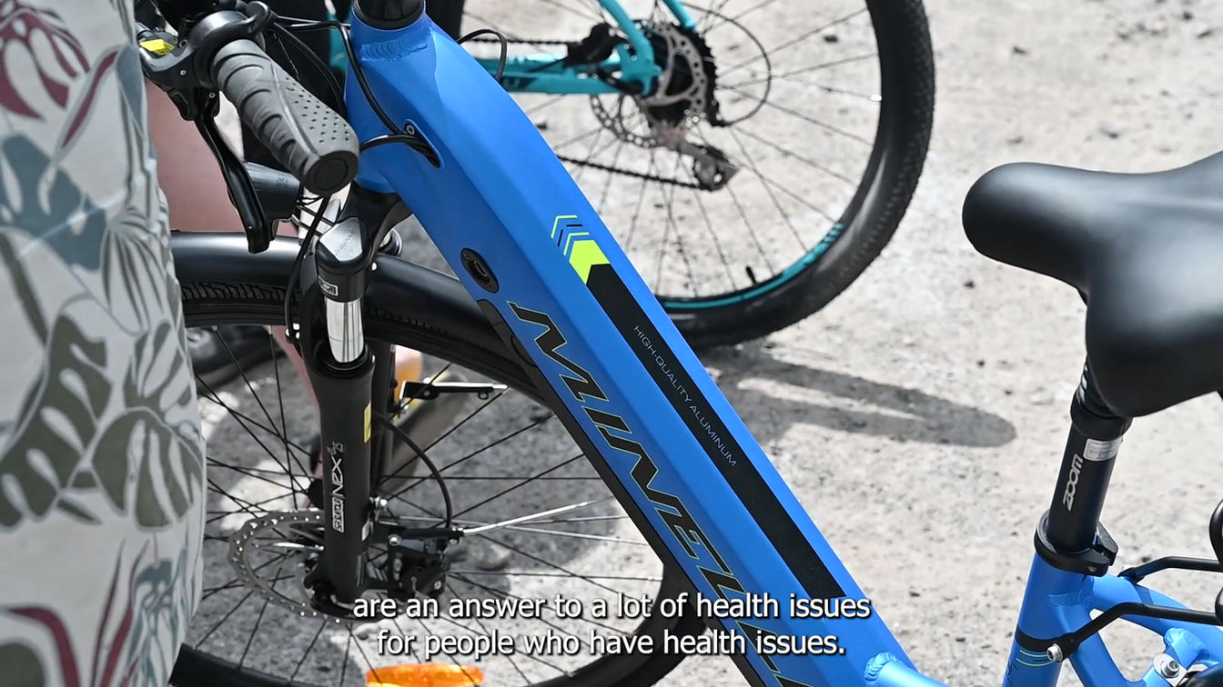 Home | Minelli Bicycles