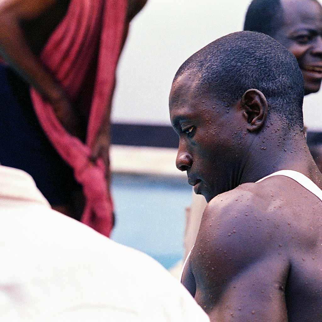 JOURNAL | Jour le Jour Henry Roy