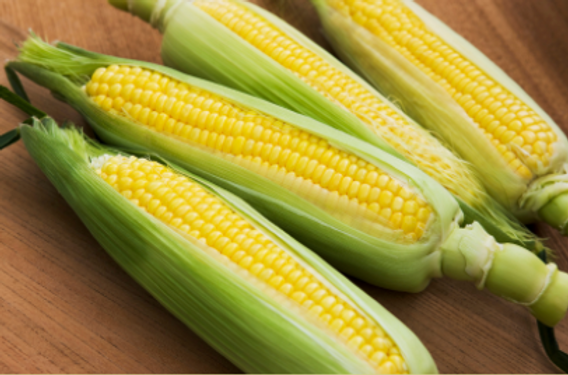 Veggie of the Week: Corn