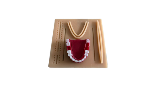 Dental Suture Pad | Simutomy