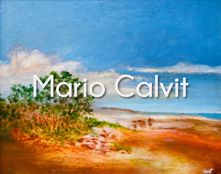 Galeria Tamarindo - Galeria de arte en Panamá