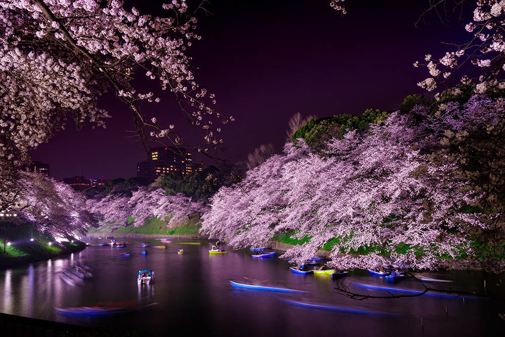 Tokyo in Spring: Your sakura photo spot guide around Tokyo - Things to ...