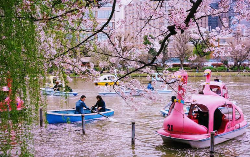Activities & Sightseeing Ideas for Tourists in Tokyo - Sightseeing ...